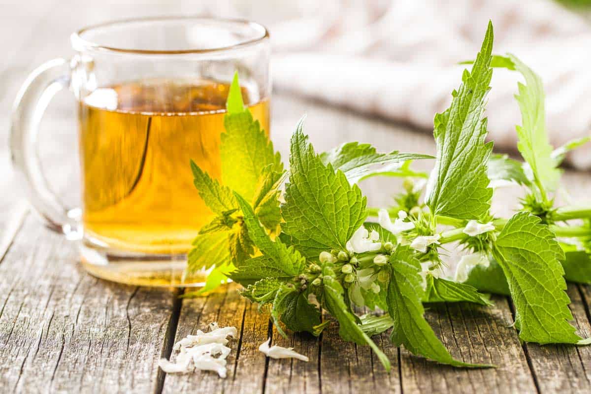 Té de Ortiga - Remedios Caseros