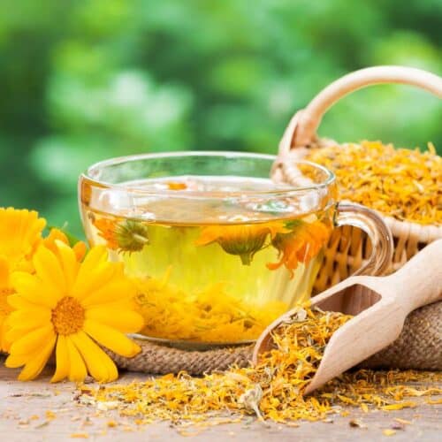 Té de Caléndula ¿Cómo Prepararlo? - Remedios Caseros