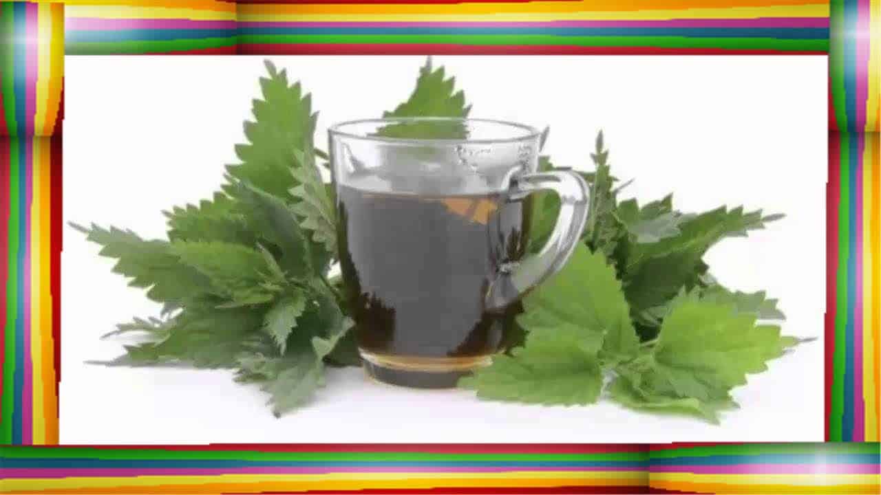 Té de Ortiga - Remedios Caseros